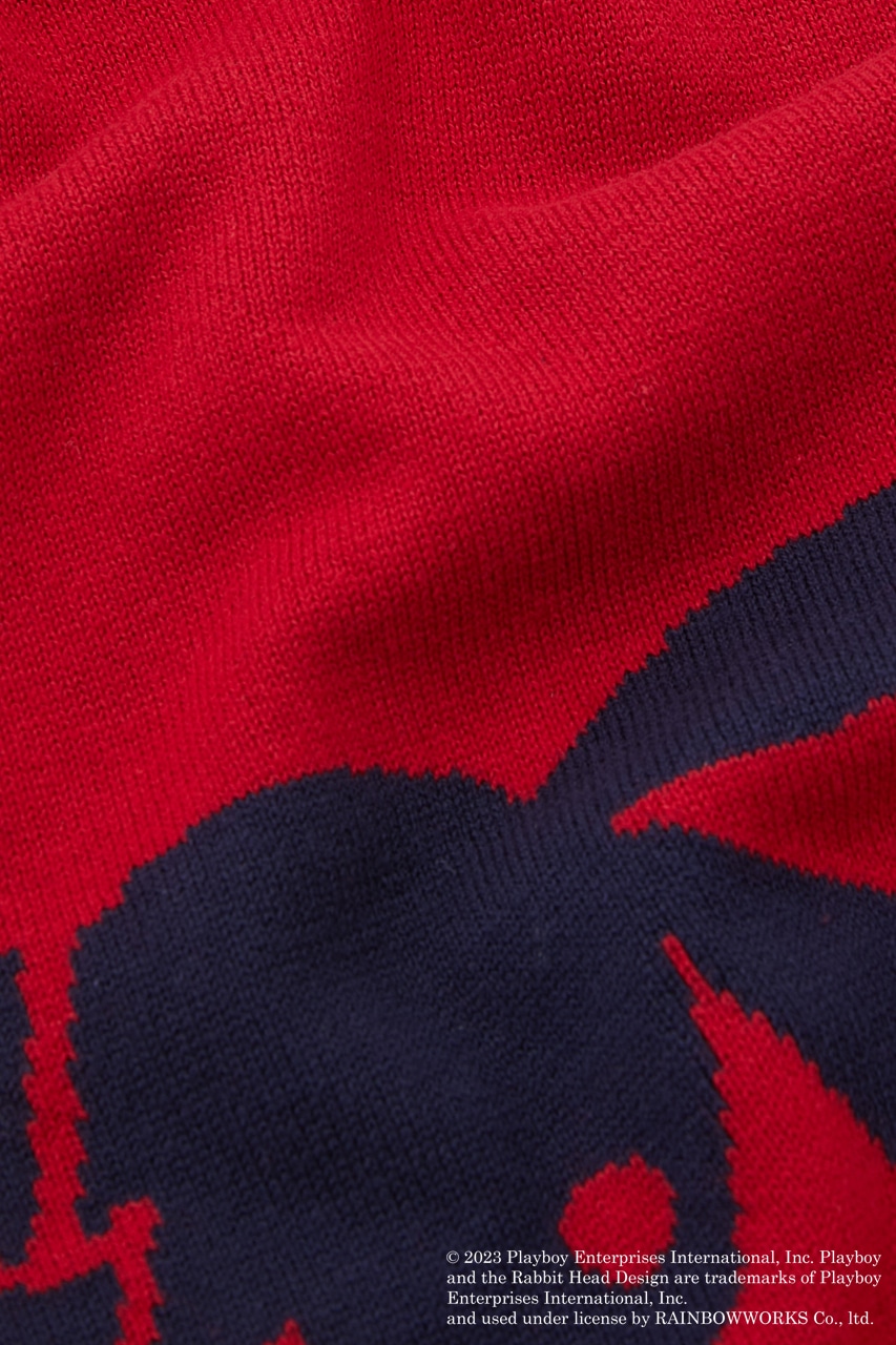 LAGUA GEM | PLAYBOY × LAGUA BIG STOLE (ストール・マフラー ) |SHEL'TTER WEBSTORE