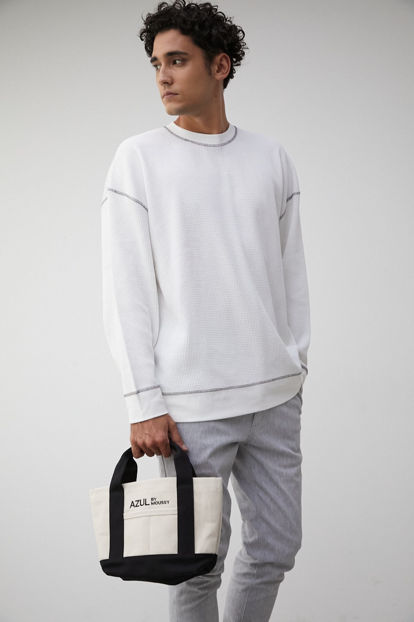 AZUL BY MOUSSY | AZUL CANVAS PARTITION MINI BAG (すべて ) |SHEL'TTER WEBSTORE